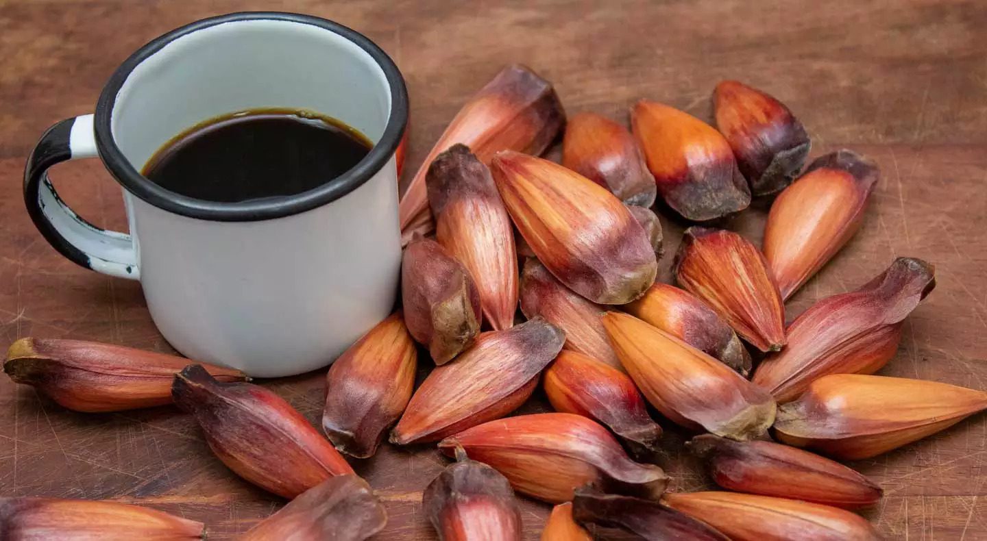 O que fazer em Curitiba - Fareja Viagens